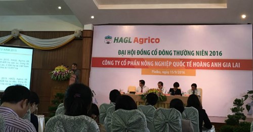 Bầu Đức: HAGL Agrico cân nhắc bán 20.000 ha cao su