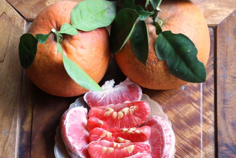 Bưởi đỏ tiến vua 500.000 đồng 1 cặp vẫn “cháy hàng”
