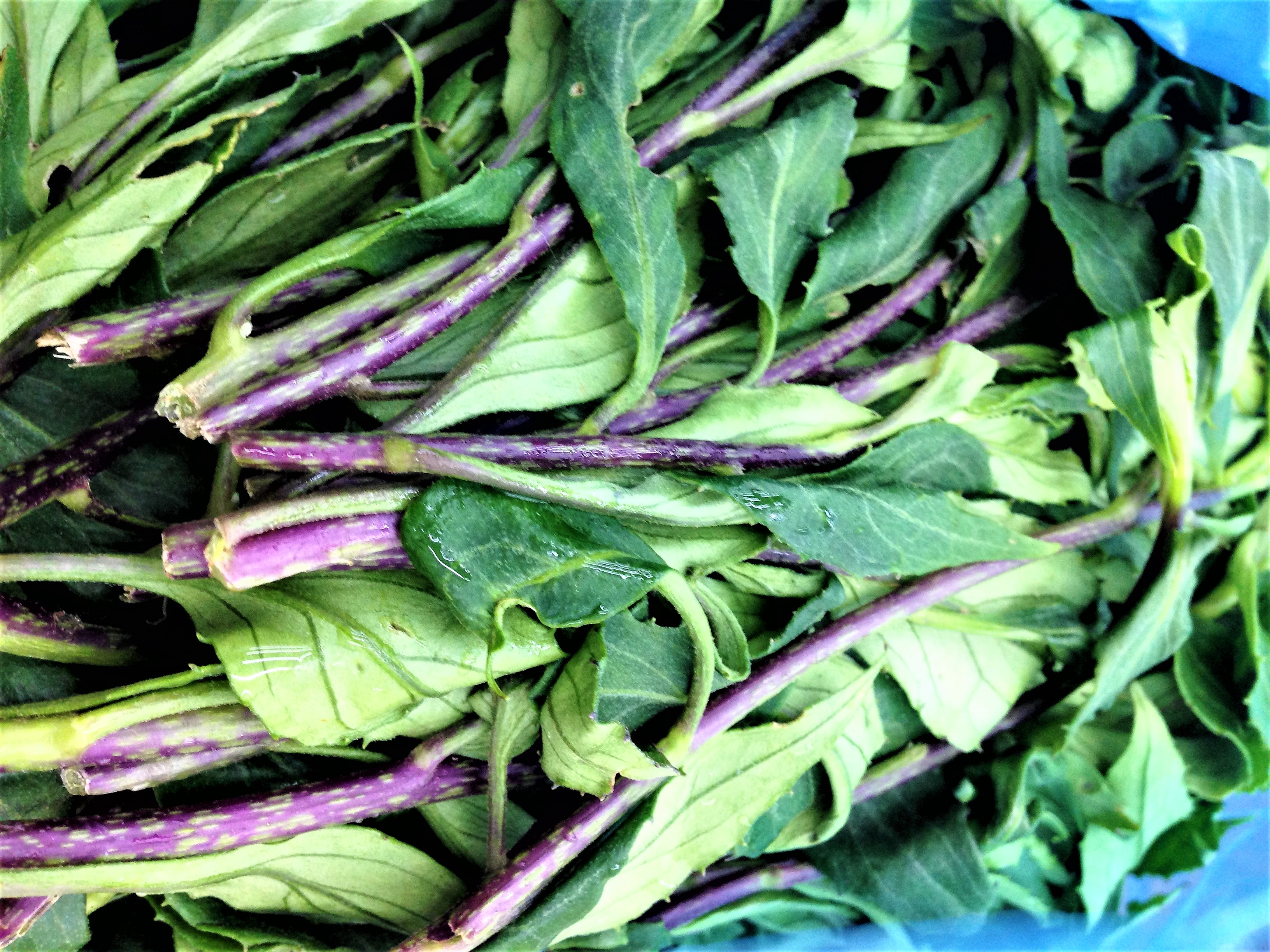 Tôi đã học được “bí kíp” chế biến rau rừng