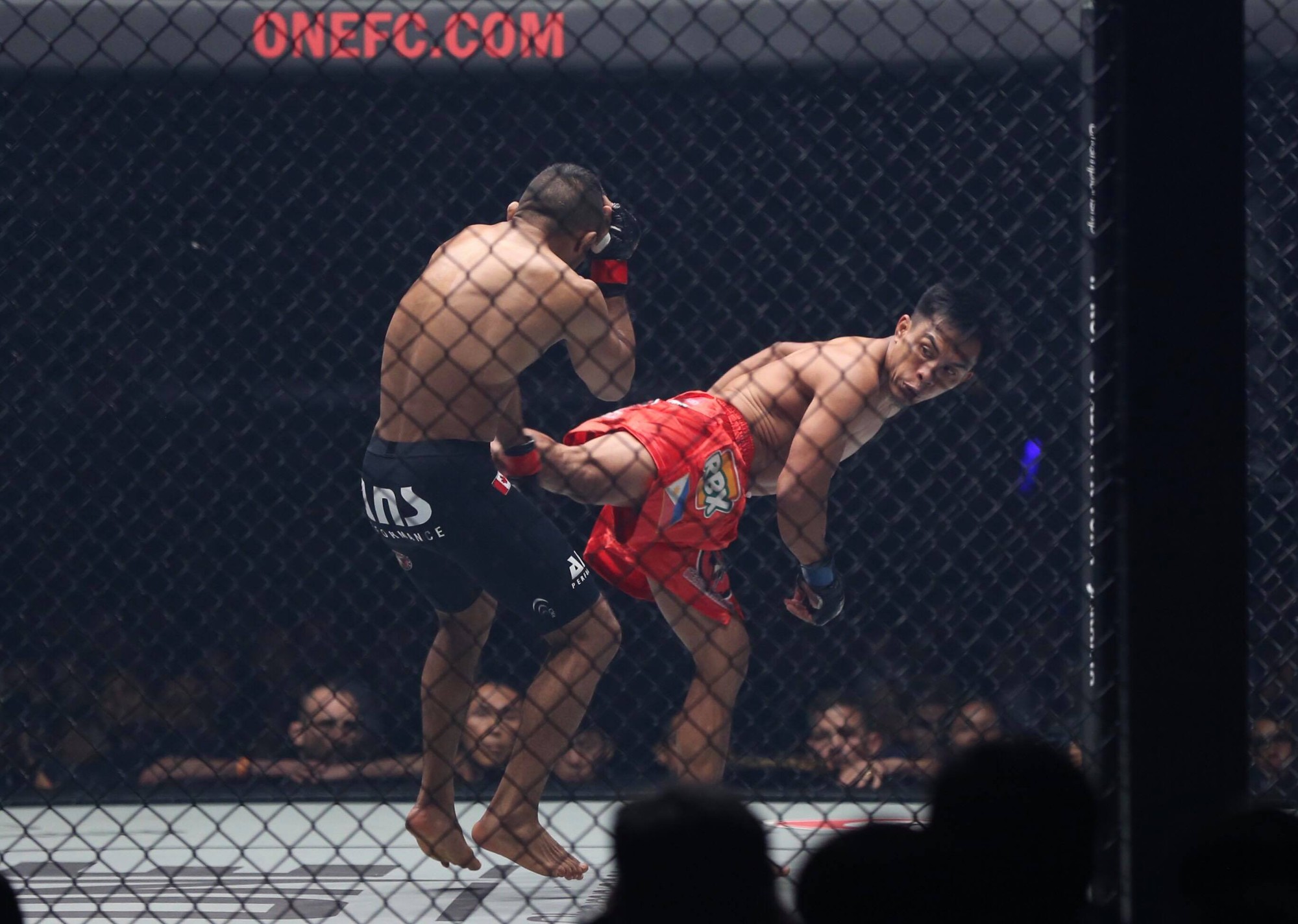 Võ đài MMA: Belingon chấm dứt triều đại của Bibiano - Báo Người lao động