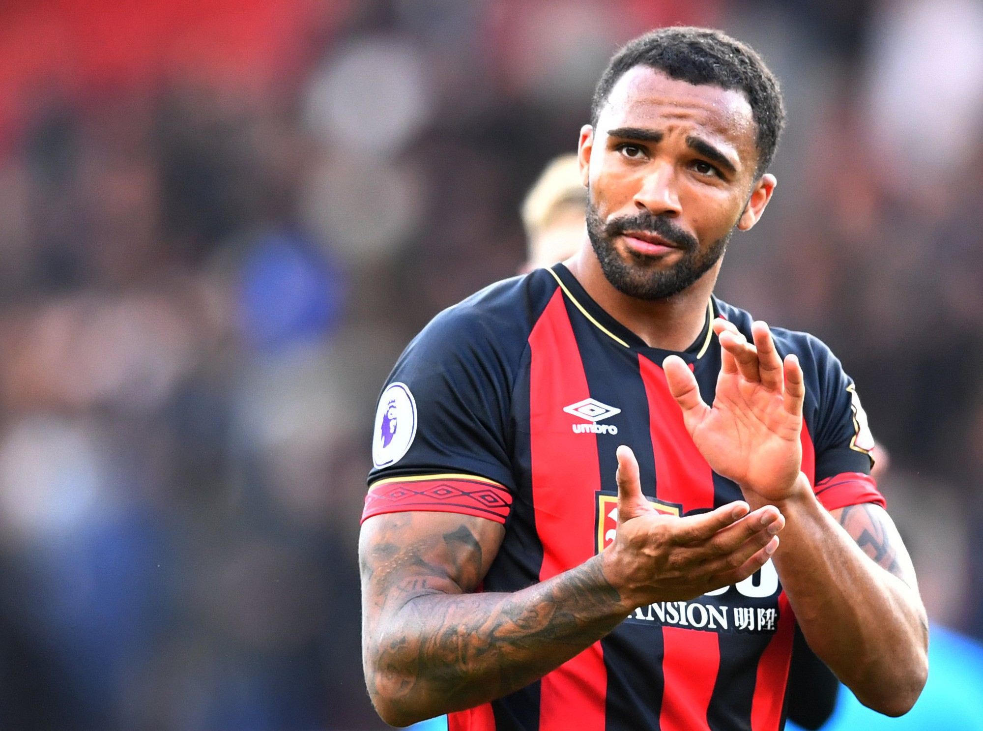 Callum Wilson lên tuyển sau khi phá lưới Man United - Báo Người lao động