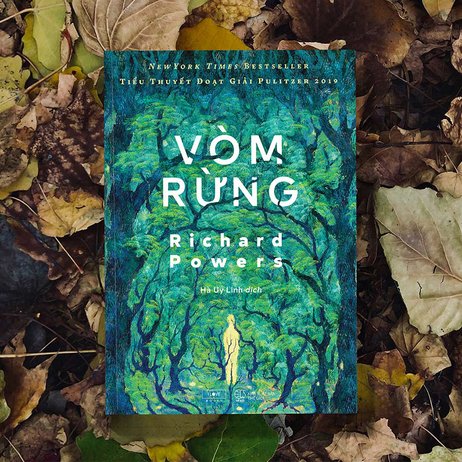 "Vòm rừng" - cây đời mãi xanh tươi