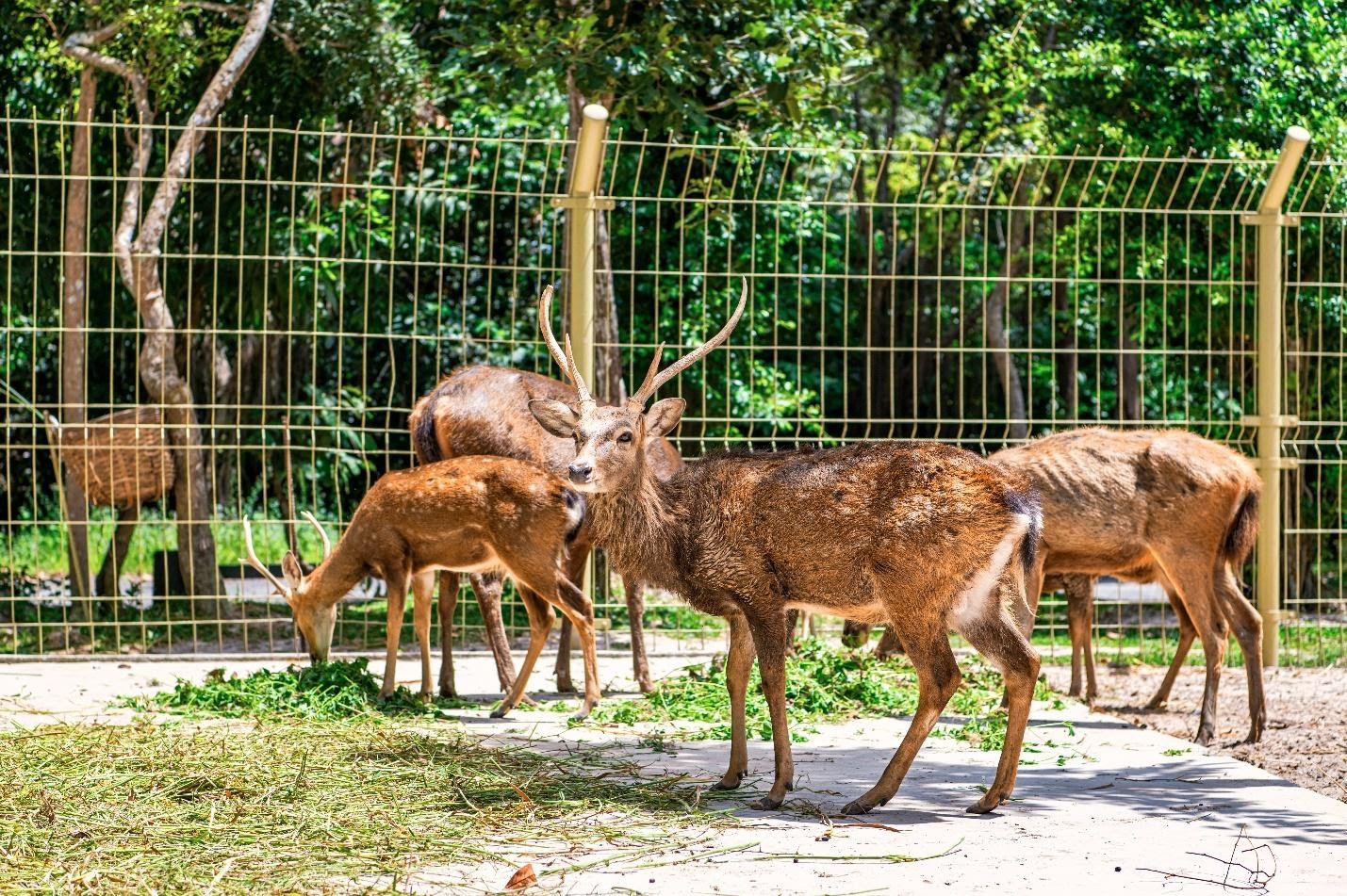 Đón năm mới 2021 thật “chill” tại Minera Hot Springs Bình Châu