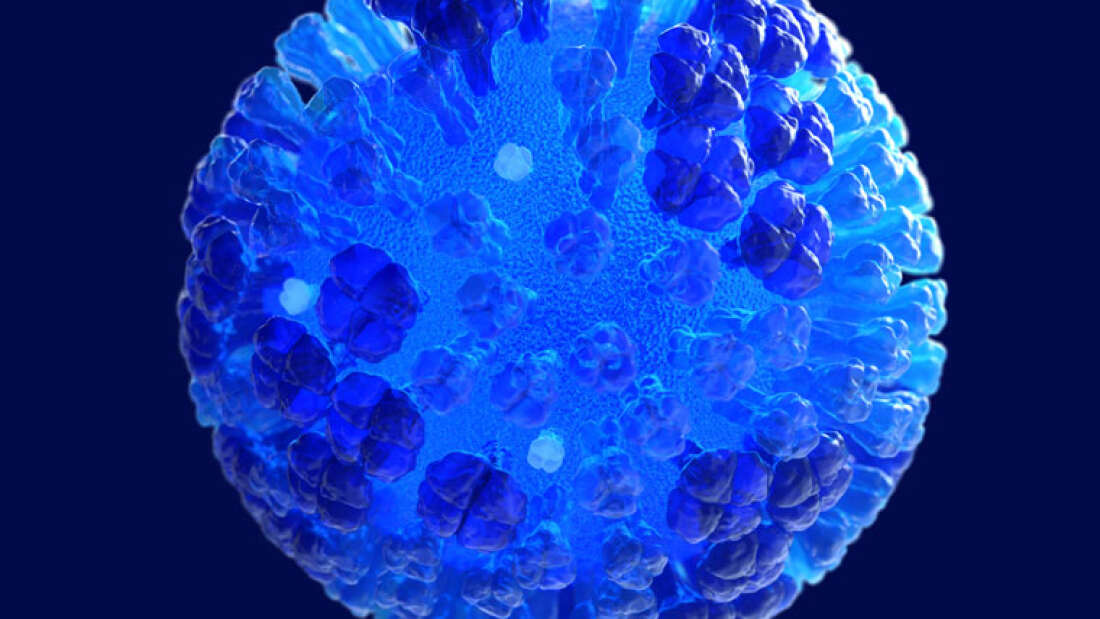 Cuộc chiến với Covid-19 khiến một số chủng cúm biến mất