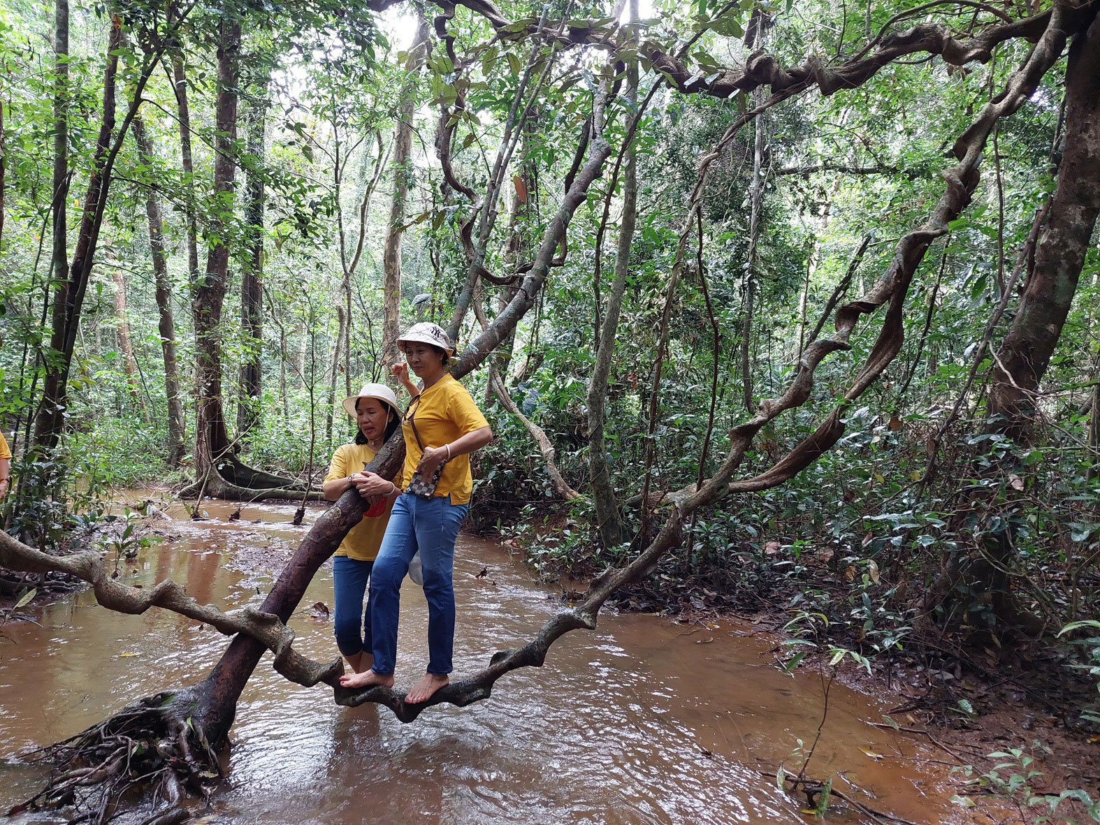 Mã Đà cuối mùa mưa