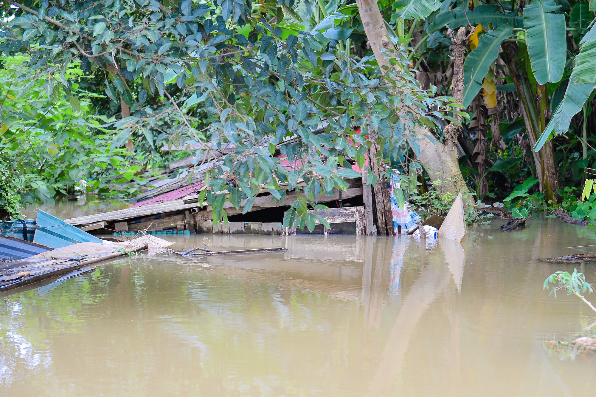 CLIP: Ngỡ ngàng với cảnh người dân ở Hà Nội phải đi đò