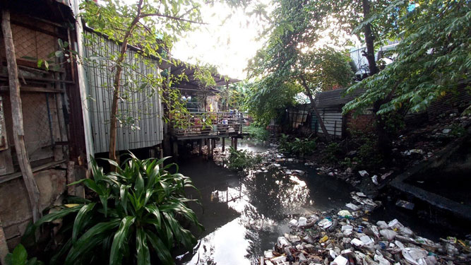 Giấc mơ đô thị xanh dần thành hiện thực