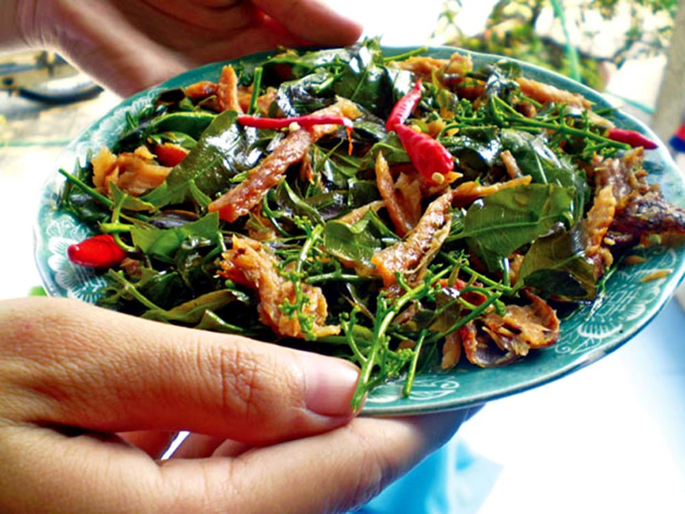 Sầu đâu: Nguồn dược liệu quý và là món ăn đặc sản độc đáo