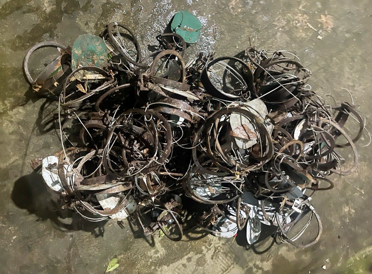 Gỡ bẫy thú rừng "mỏi tay" trên dãy Trường Sơn