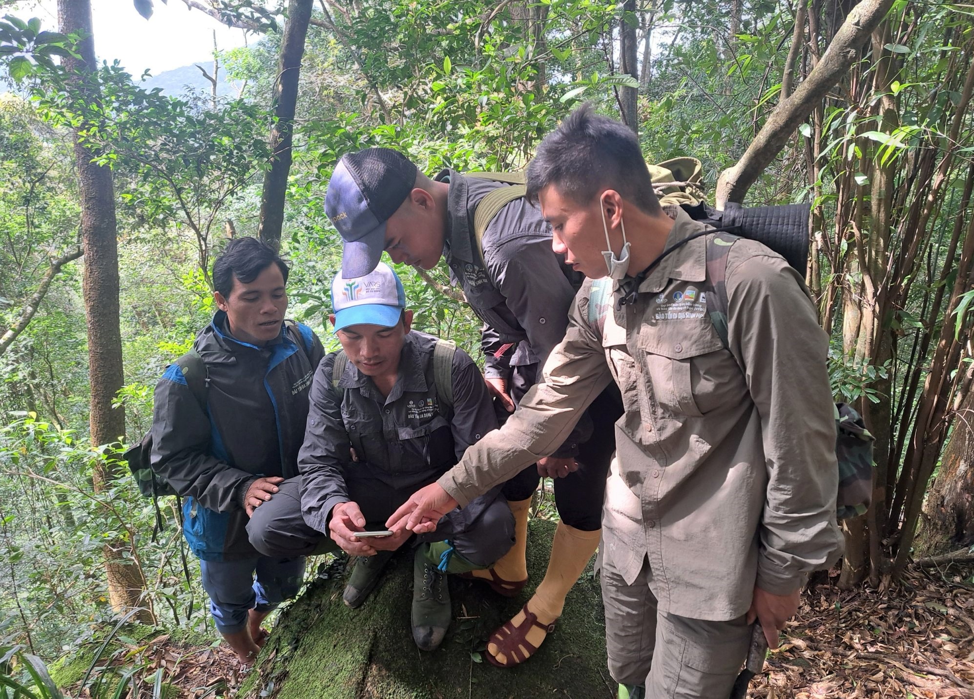 Gỡ bẫy thú rừng "mỏi tay" trên dãy Trường Sơn
