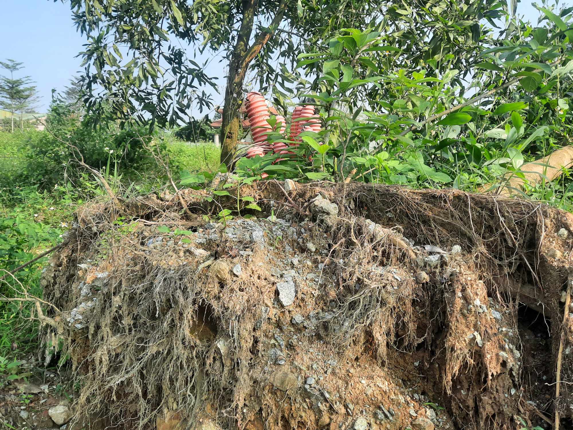 Cận cảnh Dự án hơn 1.200 tỉ “đắp chiếu” 7 năm qua trên khu đất vàng ở ...