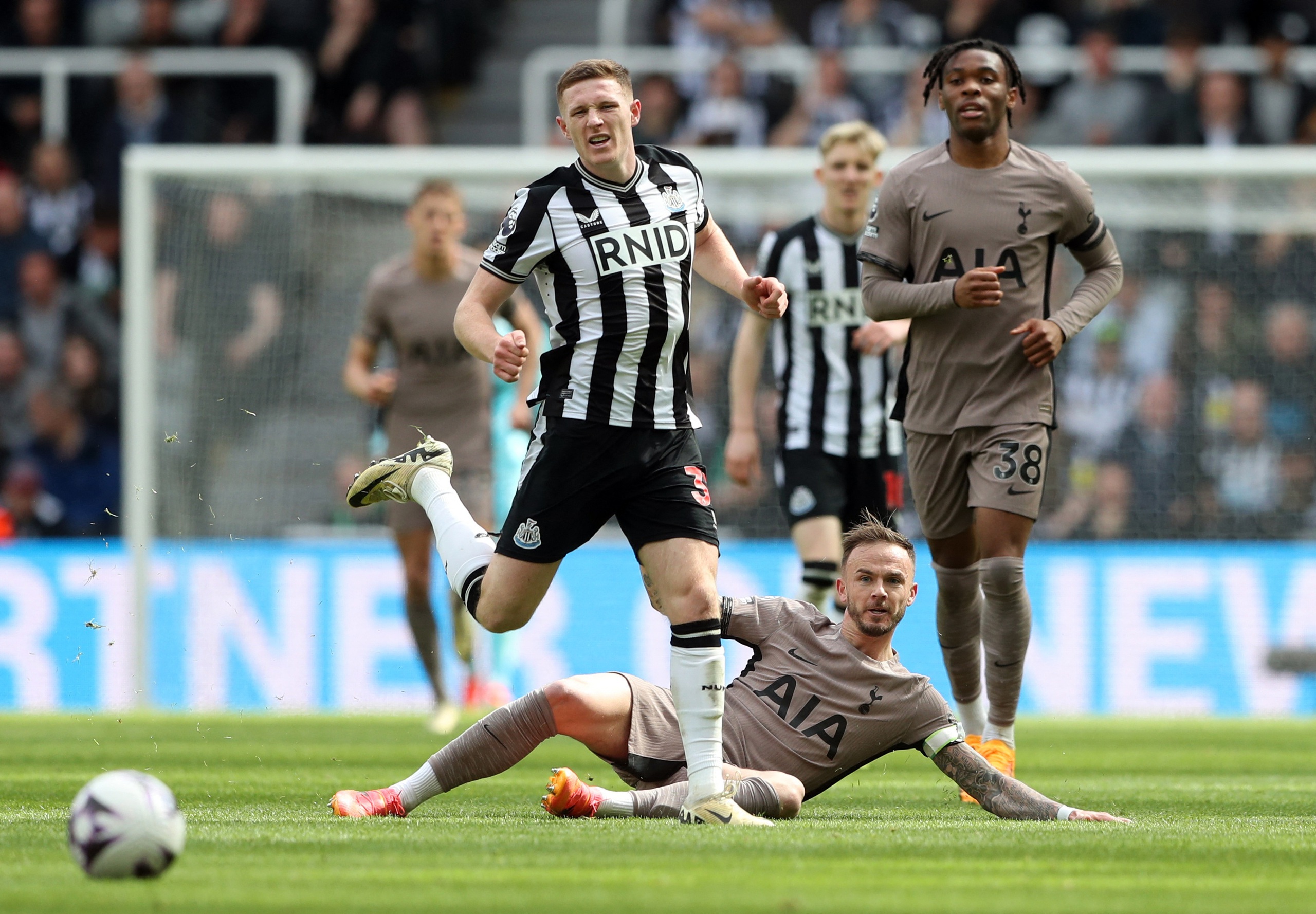 Thua thảm Newcastle, Tottenham văng khỏi Top 4 Ngoại hạng