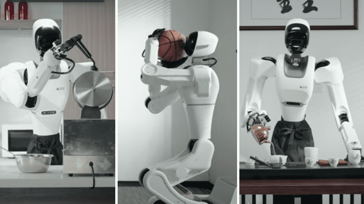 Robot Hình Người Biết Pha Sữa ủi đồ Tập Vịnh Xuân Quyền