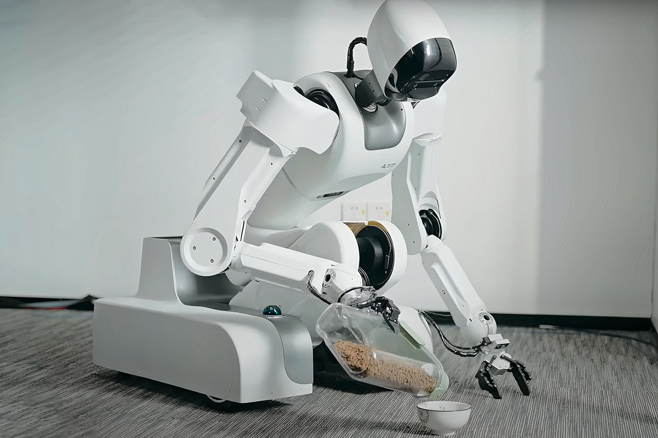 Robot Hình Người Biết Pha Sữa ủi đồ Tập Vịnh Xuân Quyền