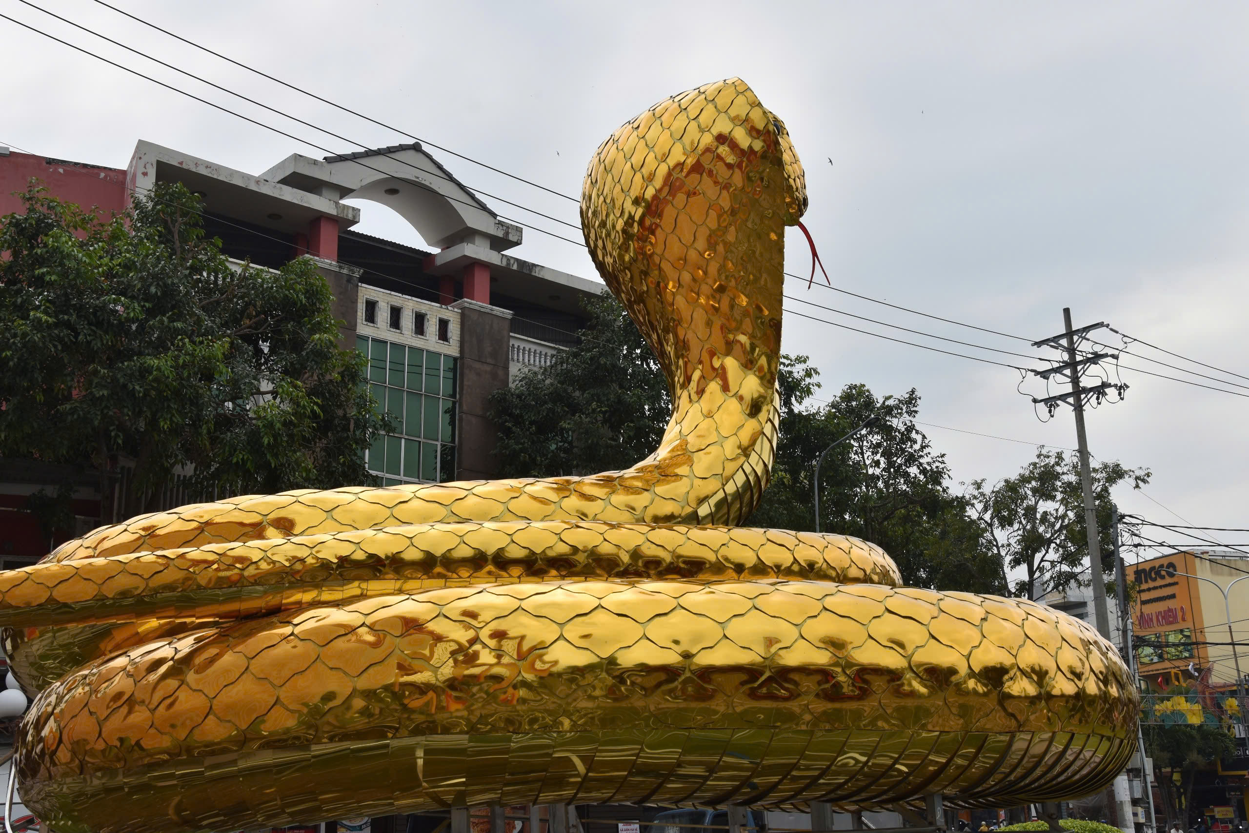 Linh vật rắn gây “sốt” mạng xã hội ở Bạc Liêu - Vietnam.vn