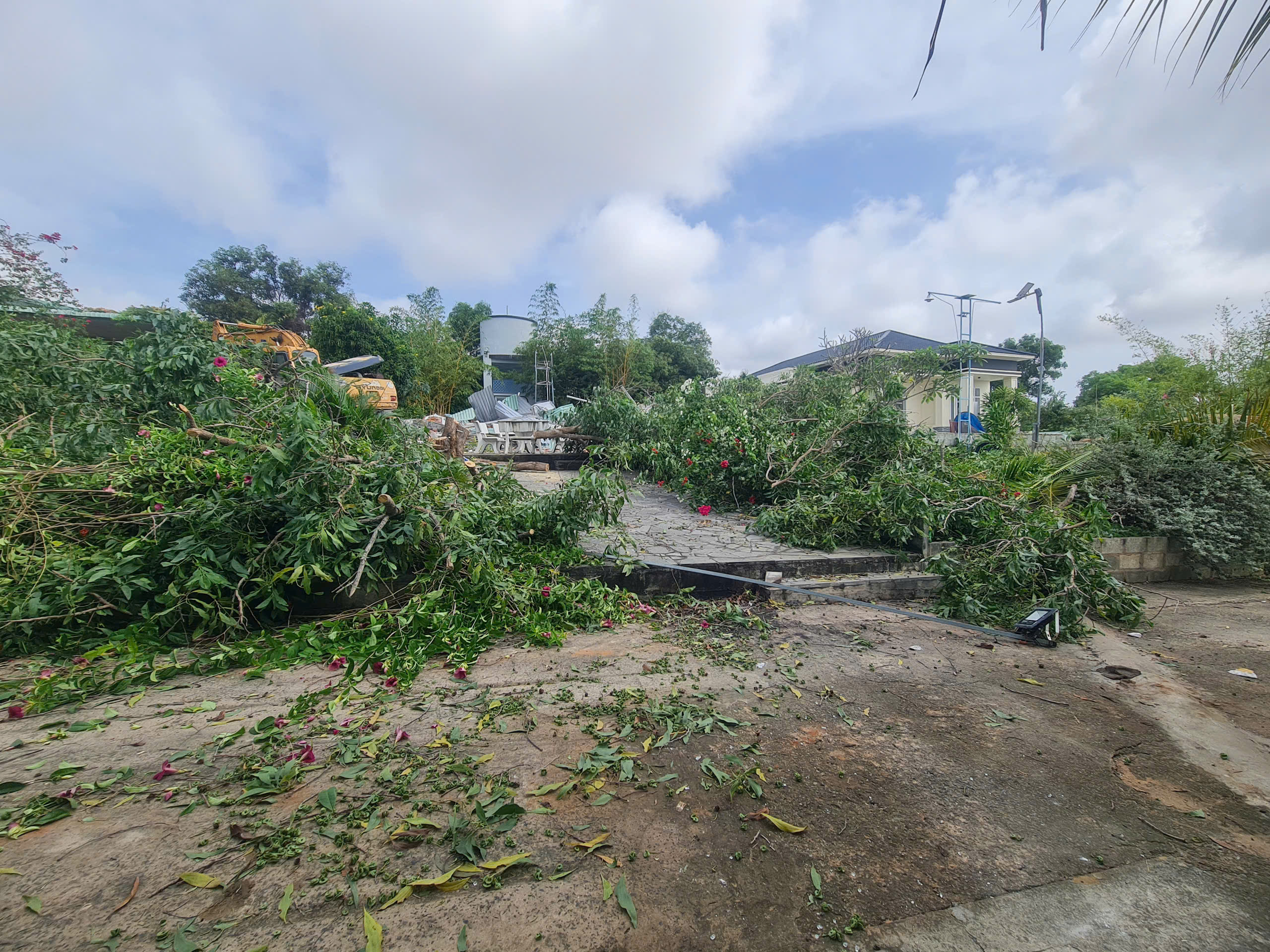 Đang cưỡng chế thu hồi hơn 66.000 m² đất lấn chiếm tại Đồi Cát Bay Mũi Né