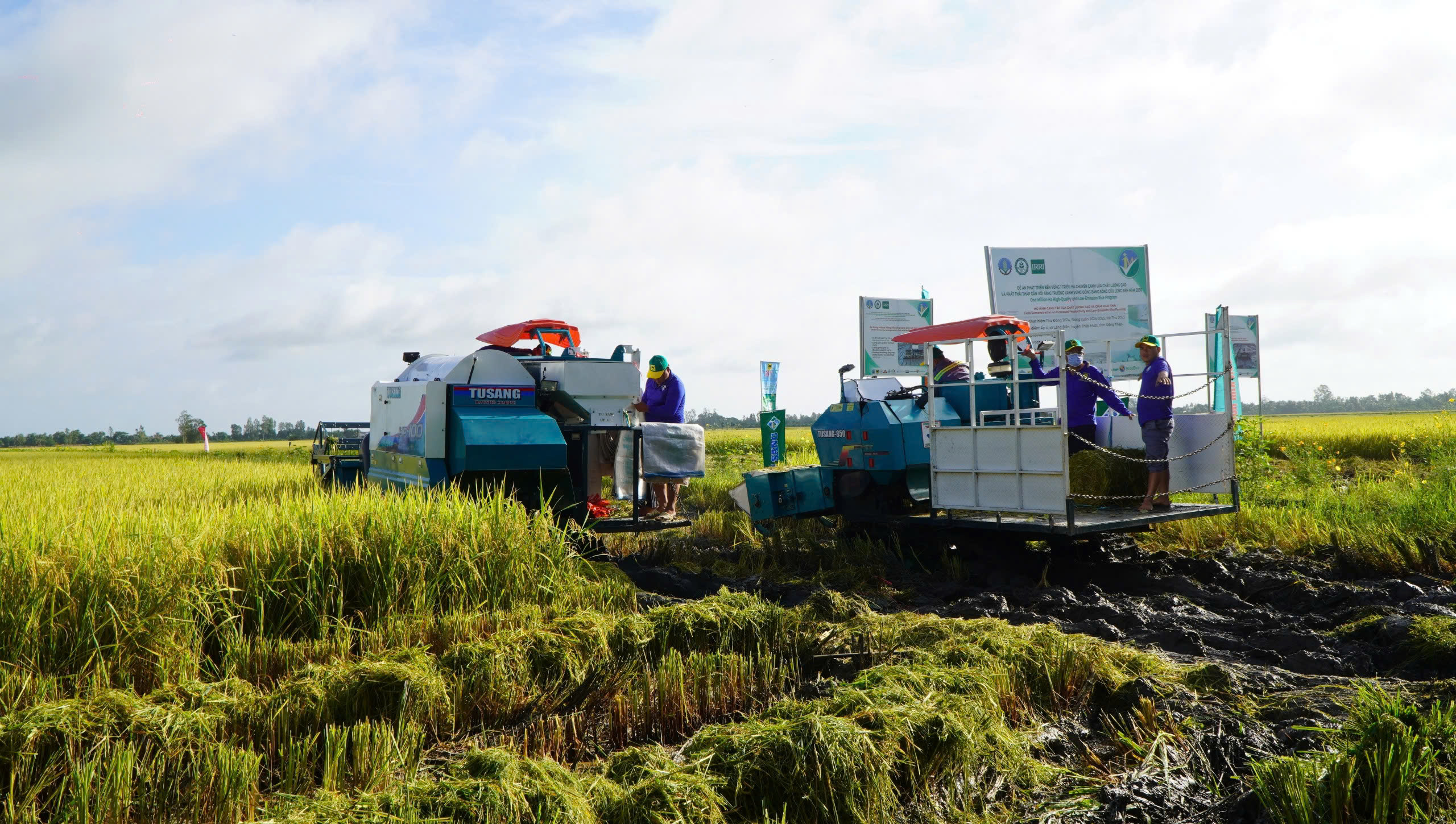 ĐẤT SEN HỒNG VƯƠN MÌNH TỎA SẮC (*): Đặt kinh tế xanh làm nhiệm vụ trọng tâm