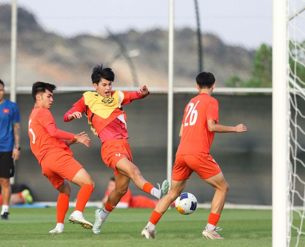 VFF đẩy mạnh hợp tác quốc tế