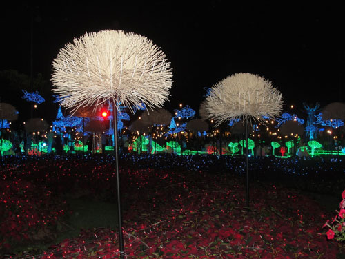 Sắc hoa rực rỡ ở Ratchaphruek