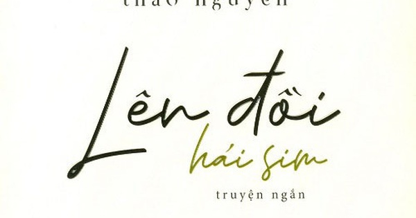 Hơi ấm trong "Lên đồi hái sim"