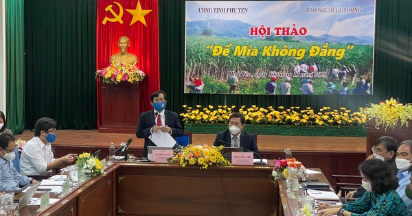 Tìm lối ra cho ngành mía đường