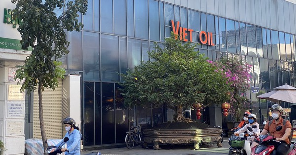 Nhiều bất thường trong kinh doanh của Xuyên Việt Oil