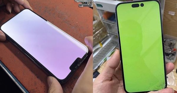 Tin vui cho người dùng iPhone 13 Pro/Pro Max bị lỗi màn hình
