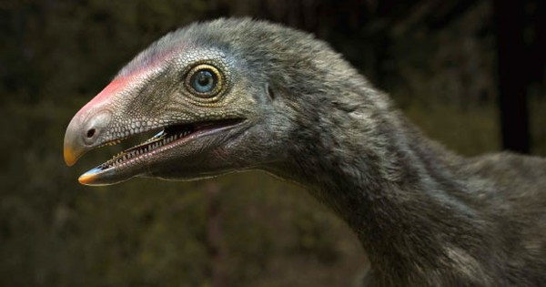 Brazil: Lộ diện sinh vật lạ đuôi khủng long, tay khỉ, đầu chim ăn thịt