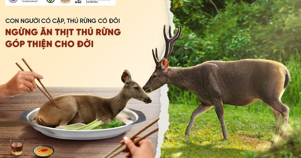 90% động vật hoang dã bị săn bắt vào nhà hàng, quán nhậu