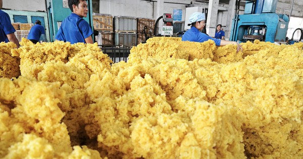 Cao su tăng giá, VRG phấn đấu doanh thu 1 tỉ USD