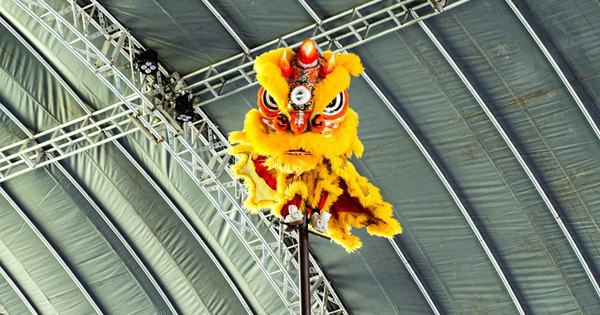 Mãn nhãn phần thi "Lân leo cột"