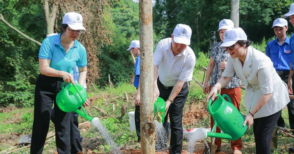 Agribank và ESG – Hành trình bền bỉ, cam kết thực thi