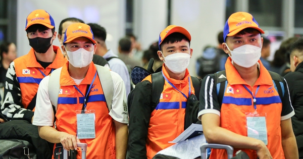 Colab lên tiếng về chiêu mạo danh lừa tiền lao động đi Hàn Quốc