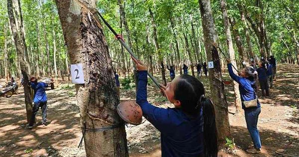 Dakruco đẩy mạnh chăm lo đời sống của người lao động