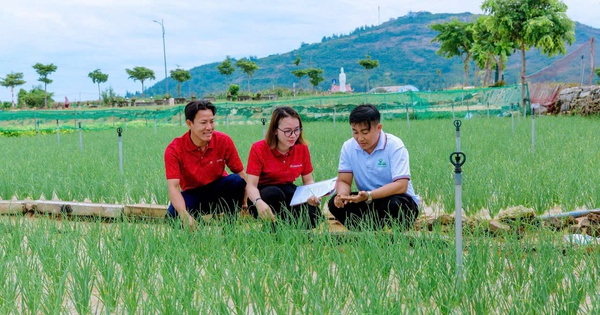 Agribank -Từ dòng tín dụng chủ lực đến chiến lược “Phụng sự từ trái tim”