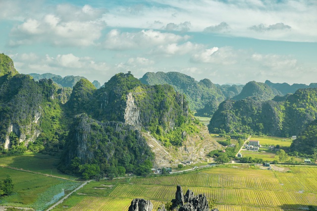 Cảnh đẹp ở cánh đồng sen Ninh Bình | Thị trường NLD